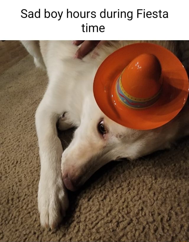 Sad boy hours during Fiesta time - iFunny