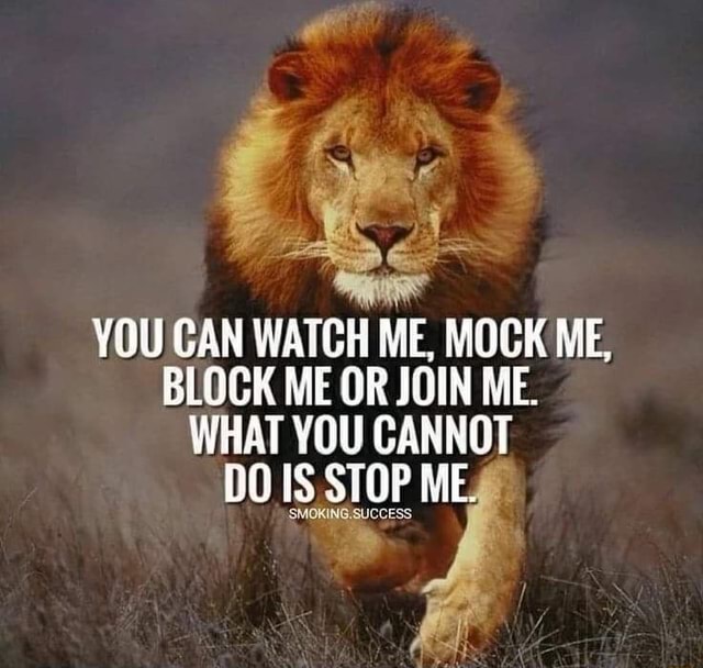 YOU CAN WATCH ME, MOCK ME, BLOCK ME OR JOIN ME. WHAT YOU CANNOT DO IS ...
