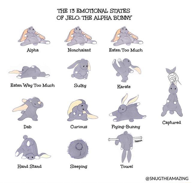 THE 13 EMOTIONAL STATES OF JELO: THE ALPHA BUNNY Alpha Nonchalant Eaten ...