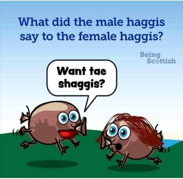 What did the male haggis say to the female haggis? Want tae shaggis ...