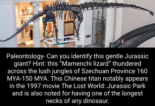 Paleontology- Can you identify this gentle Jurassic giant? Hint: this ...