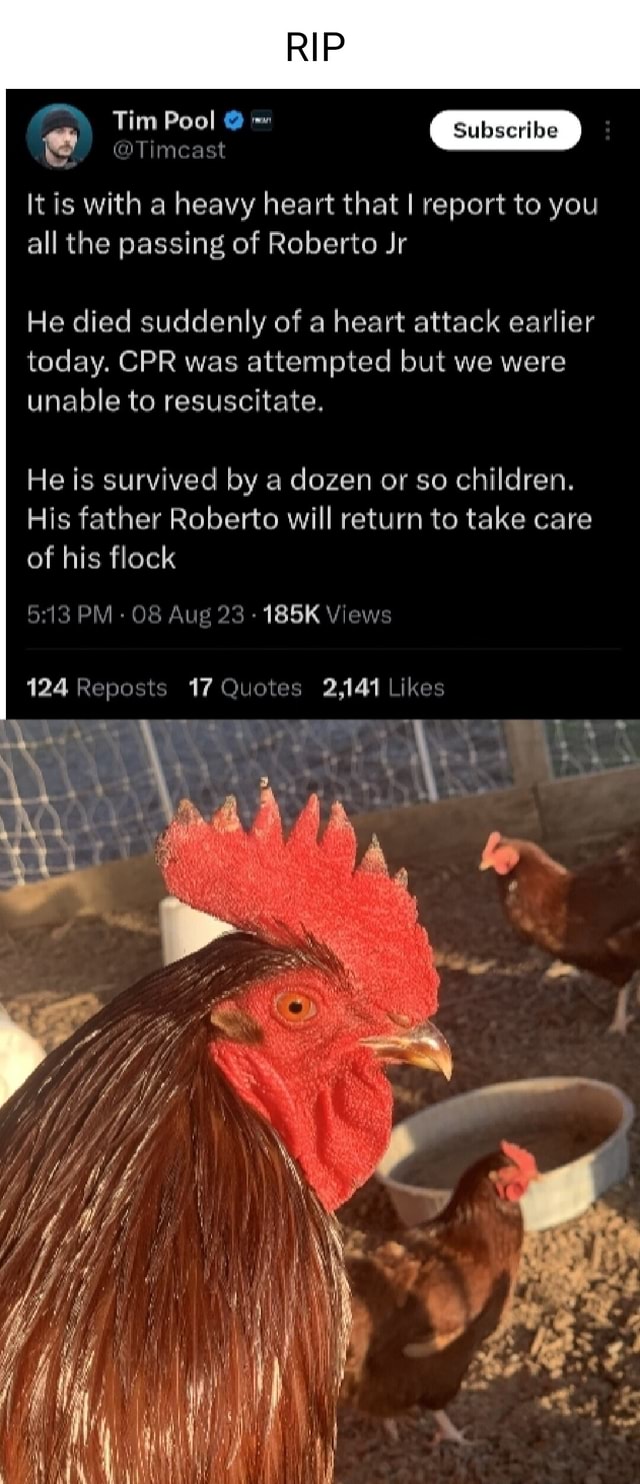 RIP Tim Pool @ Subscribe It is with a heavy heart that I report to you ...