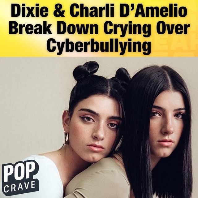 Dixie & Charli D'Amelio Break Down Crying Over Cyberbullying poP ...