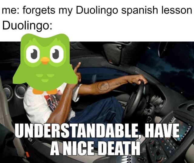 Me: forgets my Duolingo spanish lesson Duolingo: - iFunny