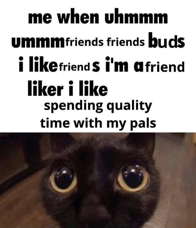 Me when uhmmm friends friends buds i likefrienas i'm Gfriend liker i ...