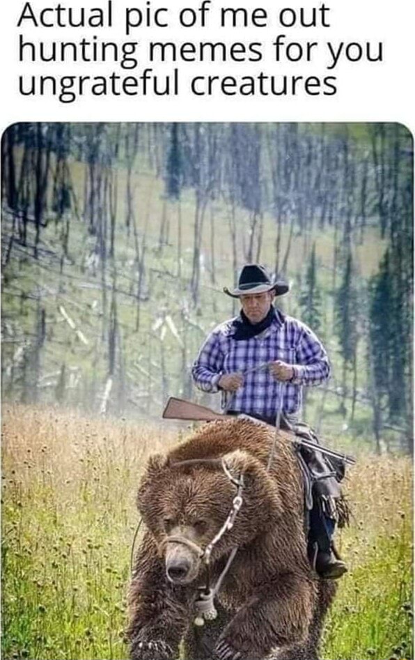 Actual pic of me out hunting memes for you ungrateful creatures - iFunny