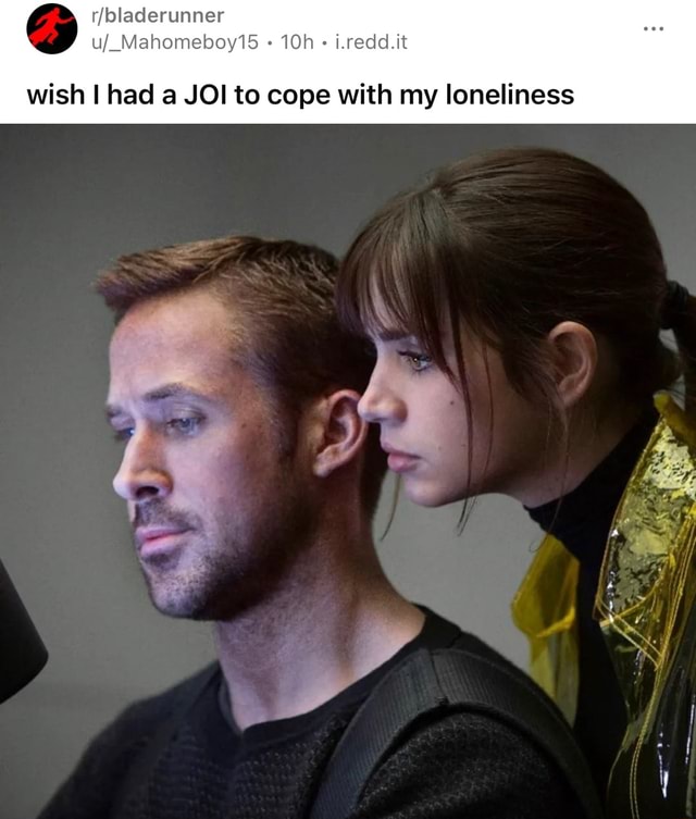 I Redd It Wish Had A Joi To Cope With My Loneliness Ifunny