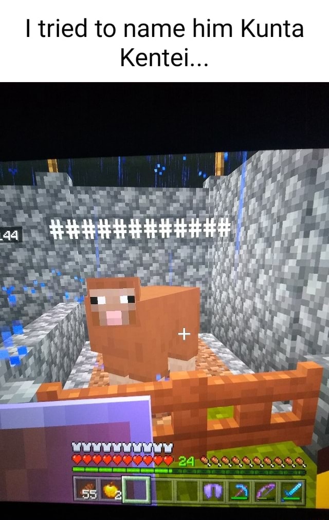 Tried to name him Kunta Kentei... aa RH - iFunny