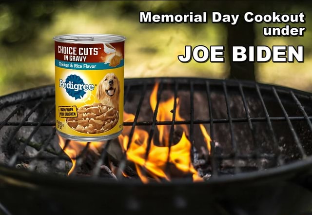 IN Chicken & Rice CECUIS & GRAVY Alg Flavor Memorial Day Cookout JOE ...