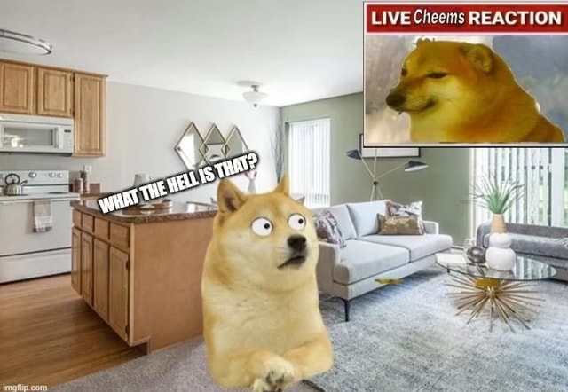 I LIVE Cheems REACTION il pe - iFunny