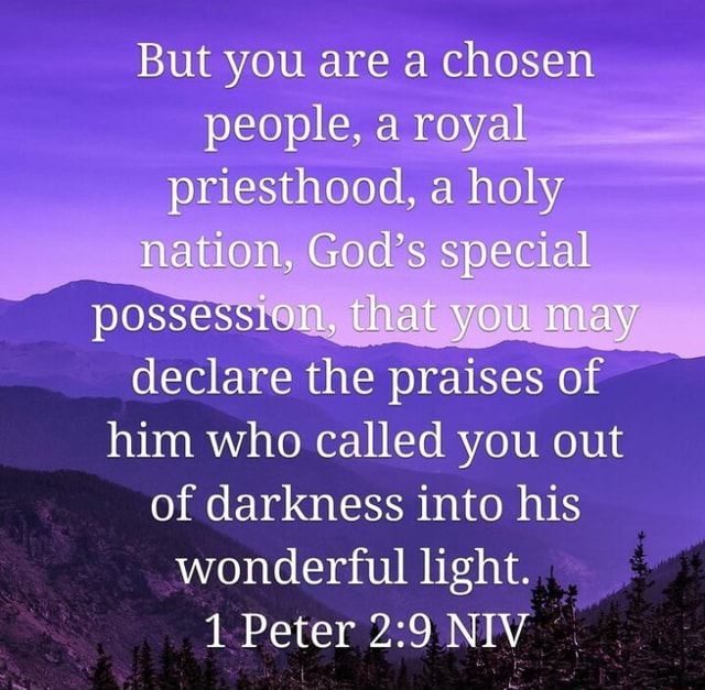 But you are a chosen people, a royal priesthood, a holy nation, God's ...
