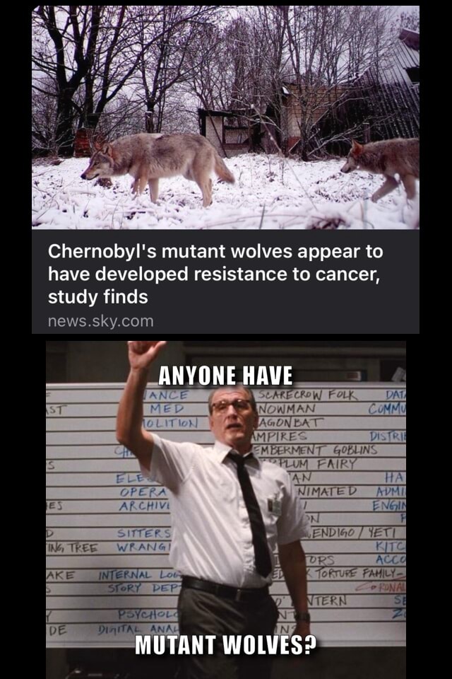 Chernobyl's mutant wolves appear to have developed resistance to cancer ...