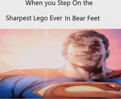 When you Step On the Sharpest Lego Ever In Bear Feet - iFunny