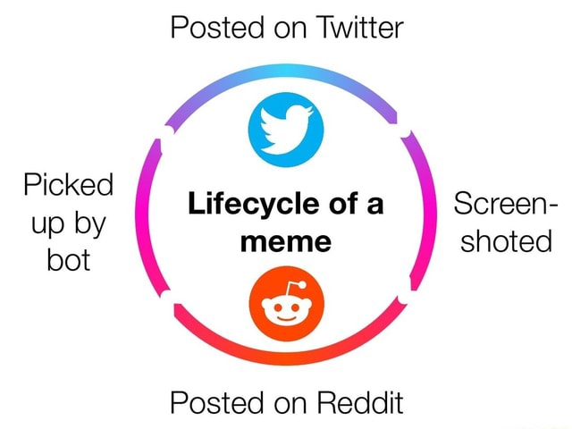 Posted on Twitter Lifecycle of a Screen- meme shoted Posted on Reddit ...