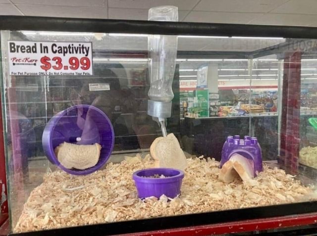 Br Bread In Captivity $3-99 - iFunny