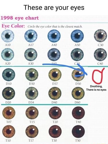 These are your eyes 1998 eye chart Eye Color: cinitheey coor thais the ...