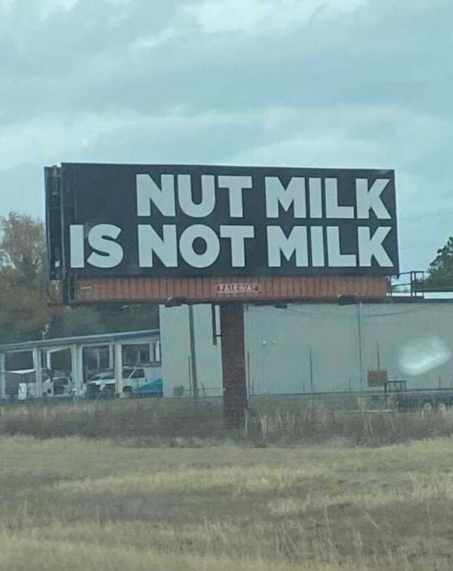 NUT MILK IS NOT MILK} - America’s best pics and videos