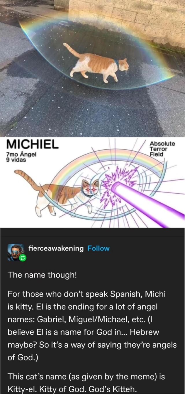 MICHIEL Terror Angel Field 9 vidas NT ex fierceawakening Follow The ...