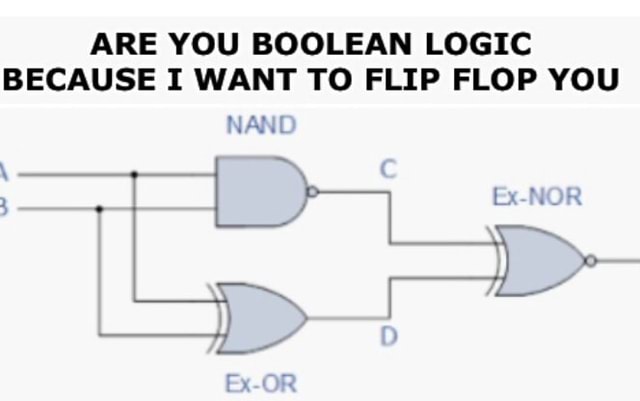 ARE YOU BOOLEAN LOGIC BECAUSE I WANT TO FLIP FLOP YOU - iFunny