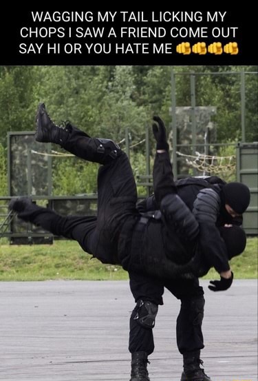 WAGGING MY TAIL LICKING MY CHOPS I SAW A FRIEND COME OUT SAY HI OR YOU ...