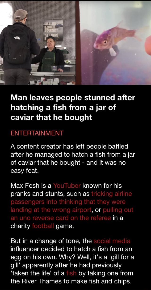 Man leaves people stunned after hatching a fish from a jar of caviar ...