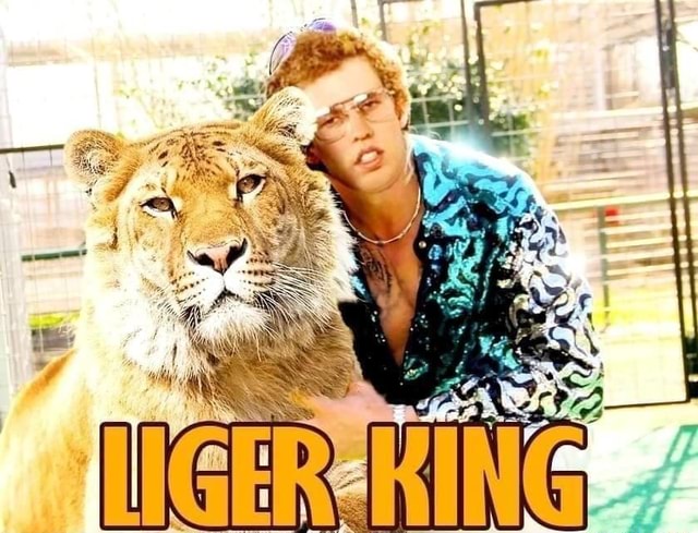 Free range memes 2 - iFunny