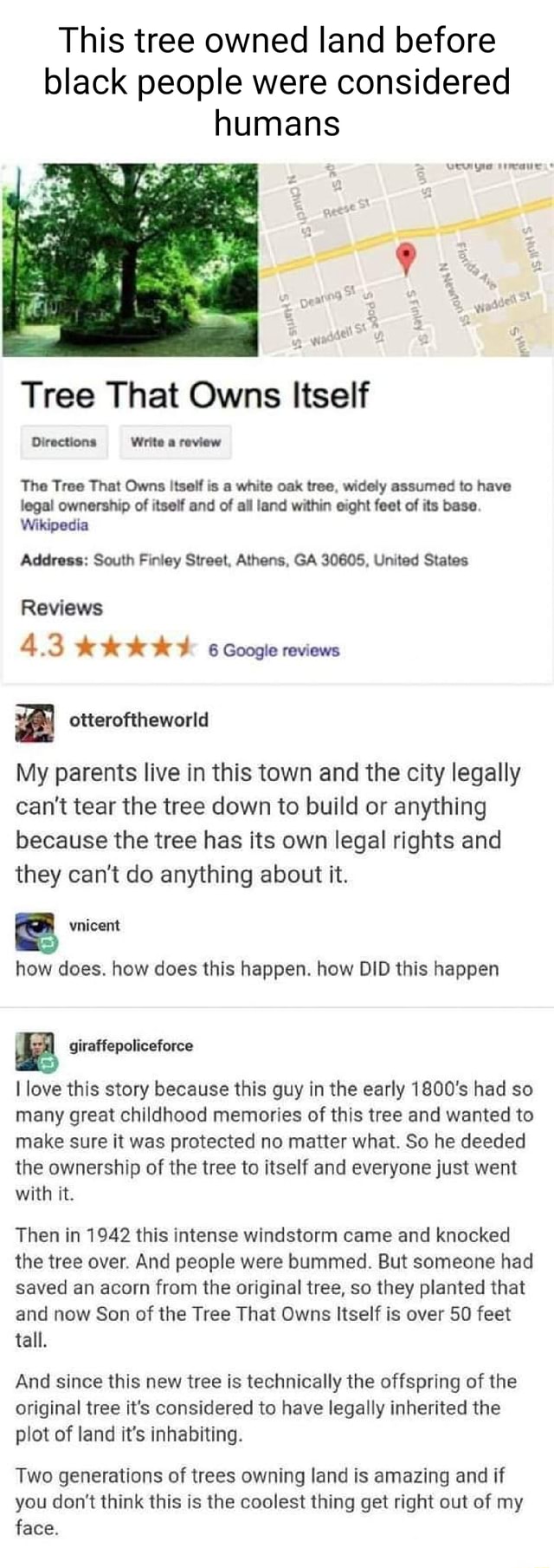 This tree owned land before black people were considered humans Ut ye ...