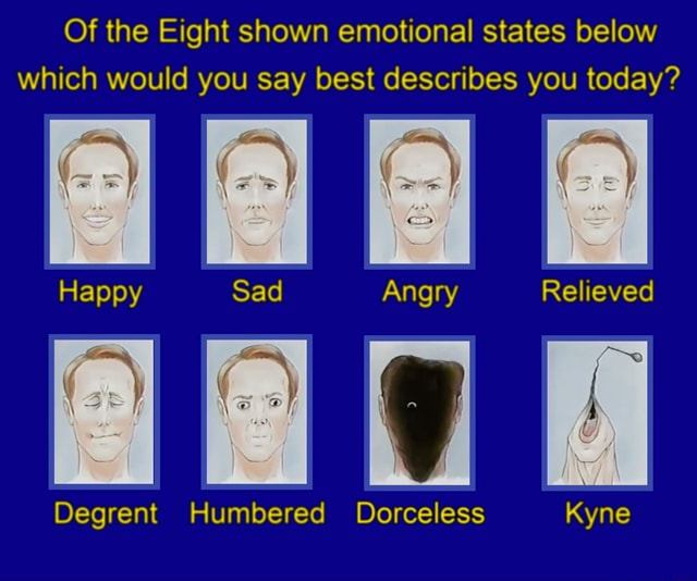 Of the Eight shown emotional states below which would you say best ...