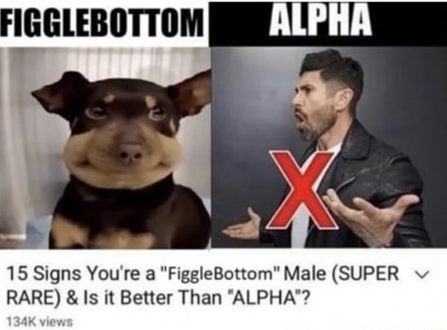 ALPHA 15 Signs You're a "FiggleBottom" Male (SUPER v RARE) & Is it ...