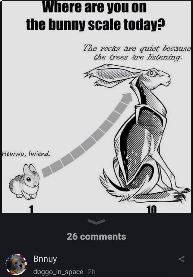 Where are you on the bunny scale today? The rocks are quiet because the ...