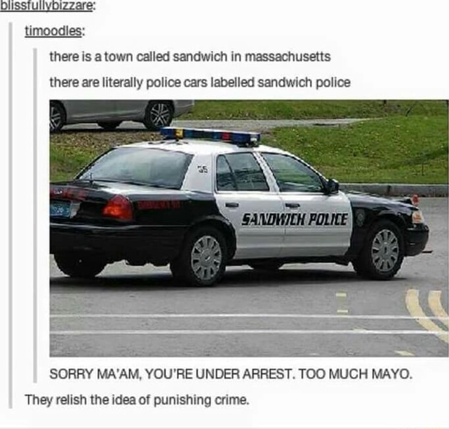 DiisstullyDizzare: timoodies: there is a town called sandwich in ...