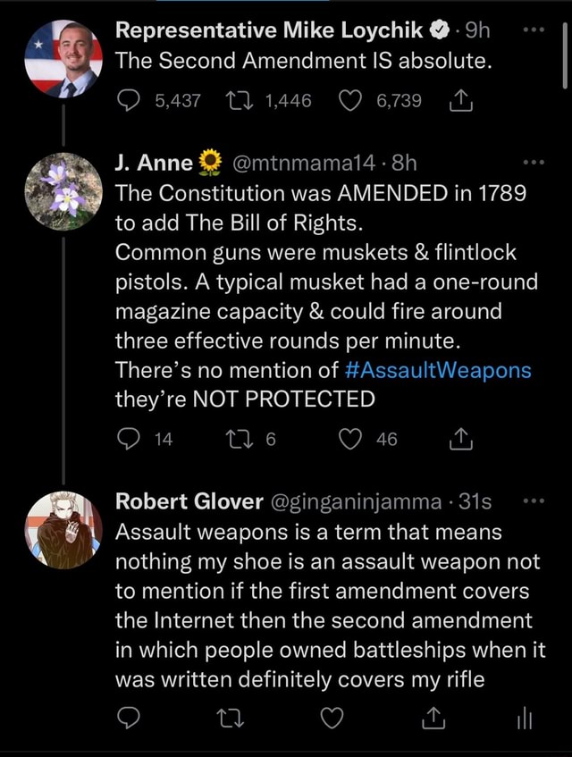 Representative Mike Loychik Sh The Second Amendment IS absolute. 5.437 ...