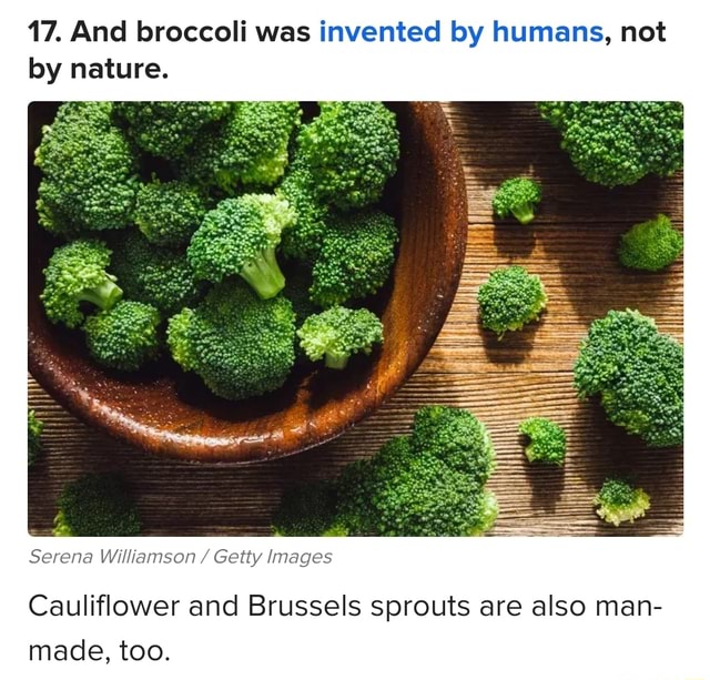 17. And broccoli was invented by humans, not by nature. Serena ...