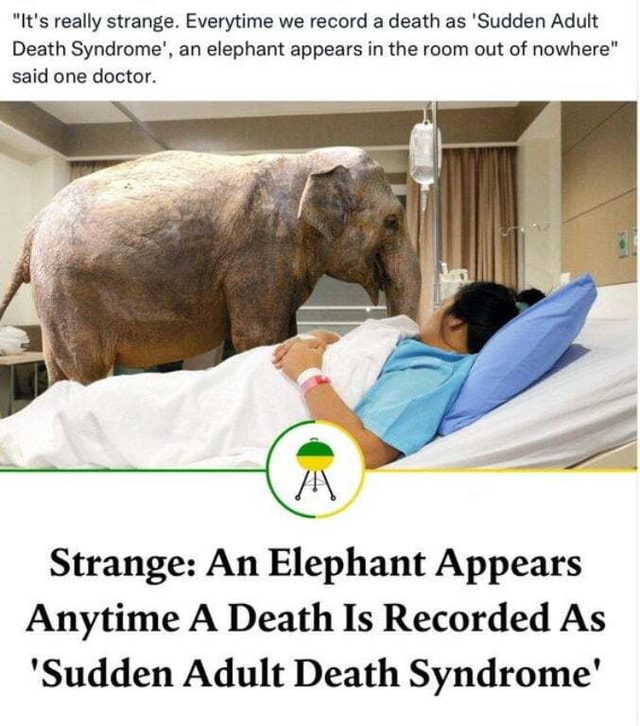 "It's really strange. Everytime we record a death as 'Sudden Adult ...