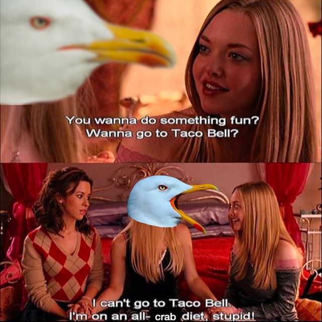 🦀 Mean Gulls 🦀 Meme by @beingevolved - You want "do something fun ...
