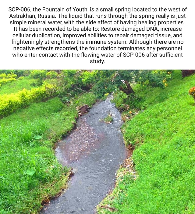 SCP-006, the Fountain of Youth, is a small spring located to the west ...