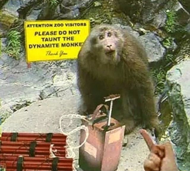 ATTENTION ZOO VISITORS PLEASE 00 NOT TAUNT THE DYNAMITE MONKES - iFunny