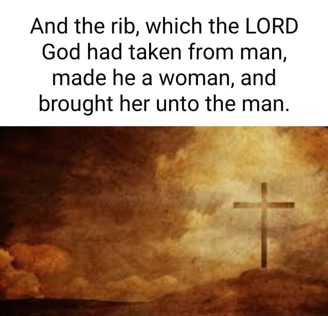 And the rib, which the LORD God had taken from man, made he a woman ...