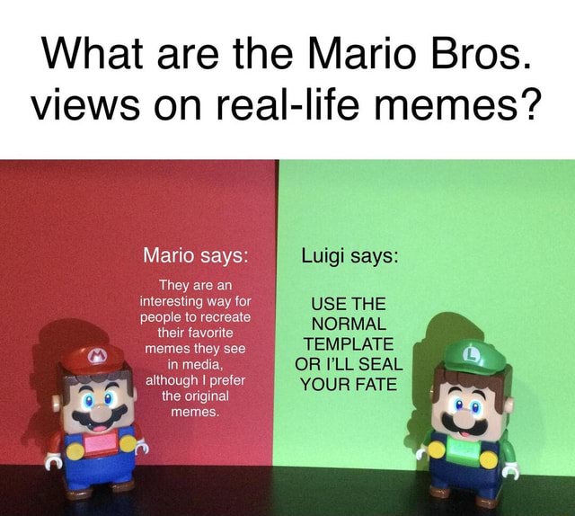 What are the Mario Bros. views on real-life memes? Mario says: Luigi ...