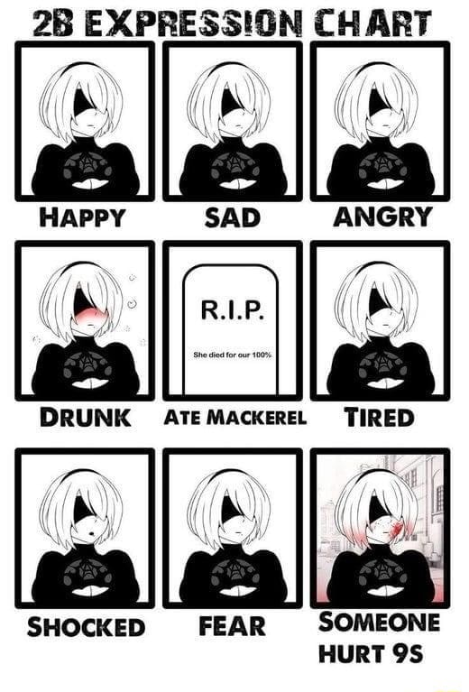 EXPRESSION CHART SAD ANGRY ATE MACKEREL _ _ SHOCKED FEAR SOMEONE HURT ...