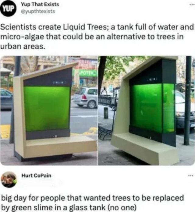 That Scientists create Liquid Trees; a tank full of water and micro ...