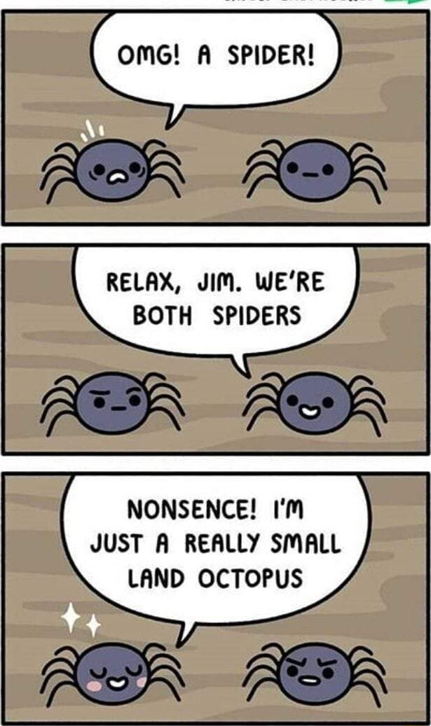 OMG! A SPIDER! RELAX, JIM. WE'RE BOTH SPIDERS NONSENCE! I'm JUST A ...
