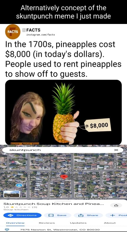 Alternatively concept of the skuntpunch meme I just made FACTS In the ...