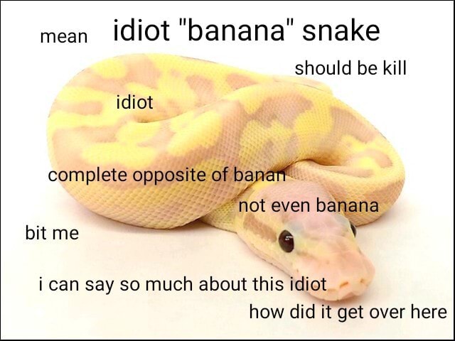 Mean idiot "banana" snake should be kill idiot complete opposite of ...