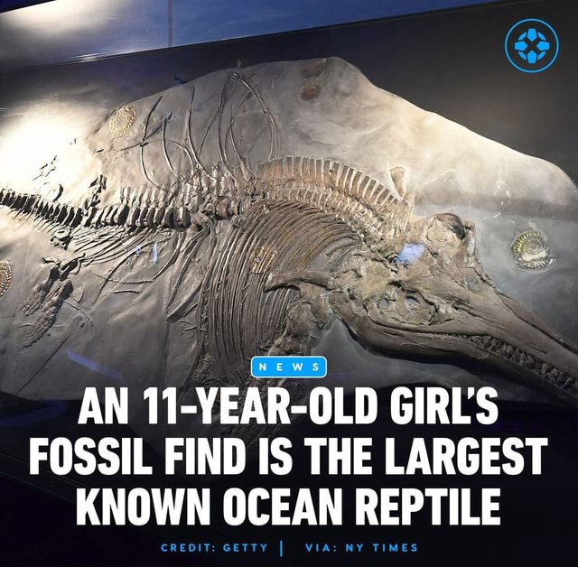 Ruby Reynolds and her father stumbled upon a fossil during a trip to ...