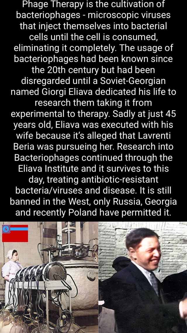 Phage Therapy is the cultivation of bacteriophages - microscopic viruses that inject themselves ...