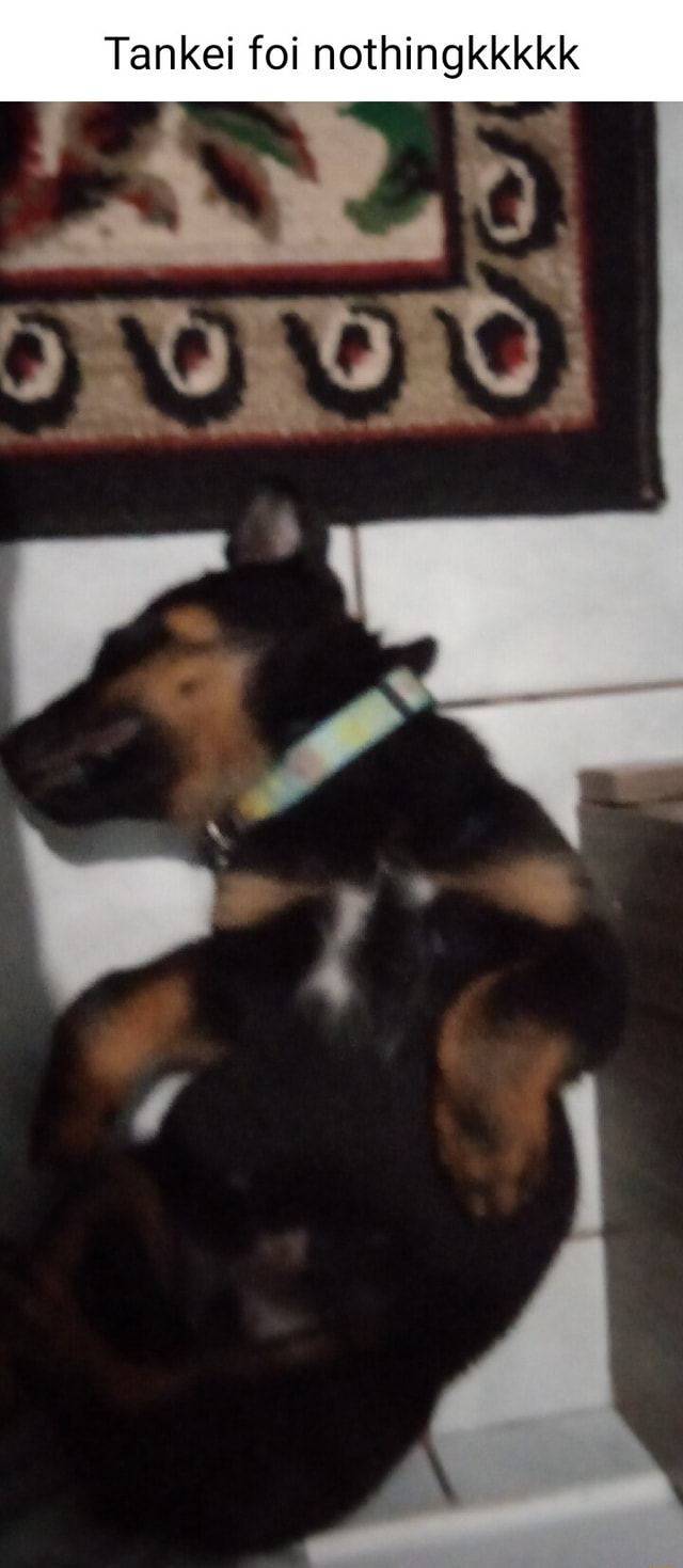 Tankei foi nothingkkkkk - iFunny Brazil