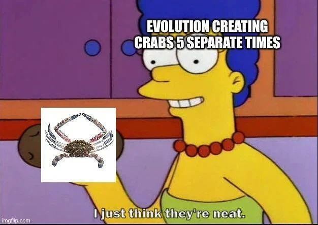 EVOLUTION, CREATING CRABS SEPARATE TIMES - iFunny