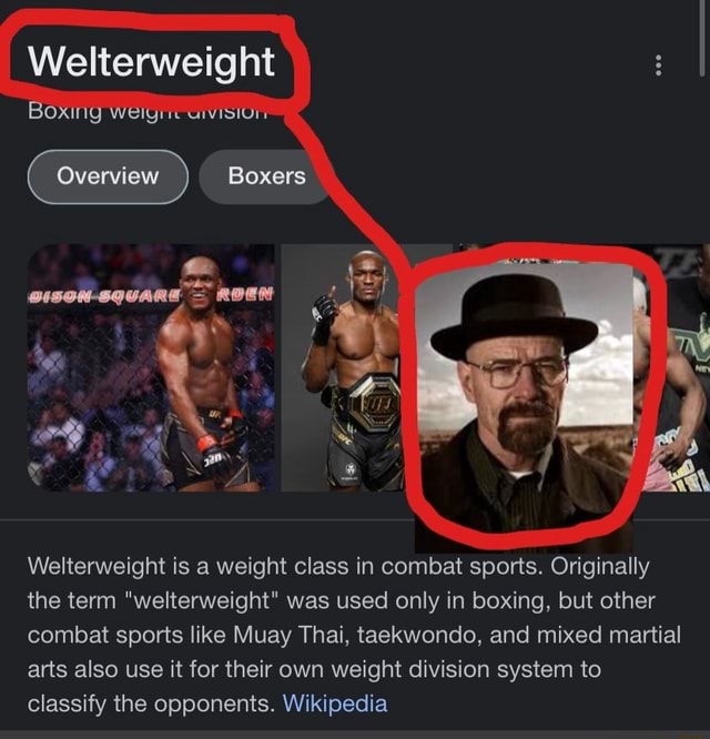 Welterweight Boxing Welgire aivision Overview Boxers Welterweight is a ...