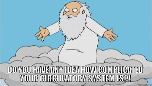 VOU HAVE ANY IDEA HOW COMPLICATED YOUR CIRCULATORY SYSTEM - iFunny